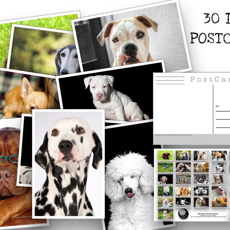 Dog Postcard - Etsy