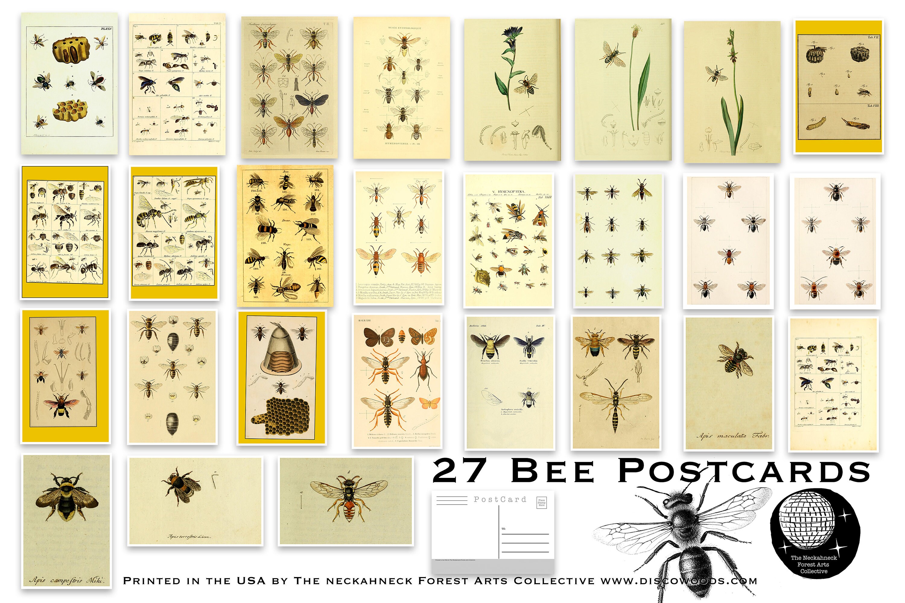 Bees Postcard Set Set of 27 Postcards Vintage Nature | Etsy