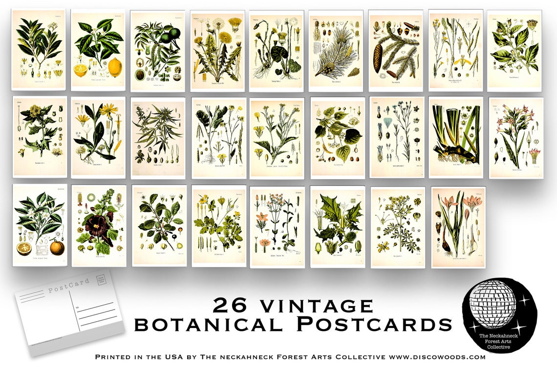 Botanical Postcard Set Set of 26 Postcards Vintage - Etsy