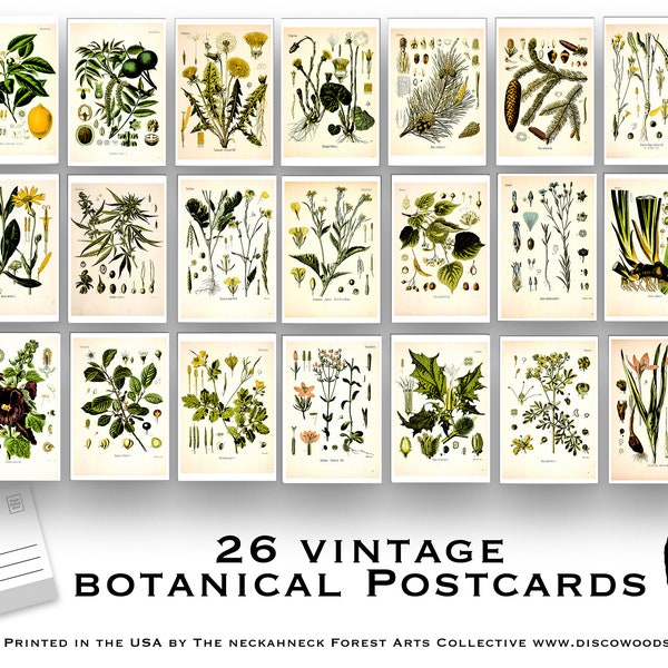 Landscape Postcard - Etsy