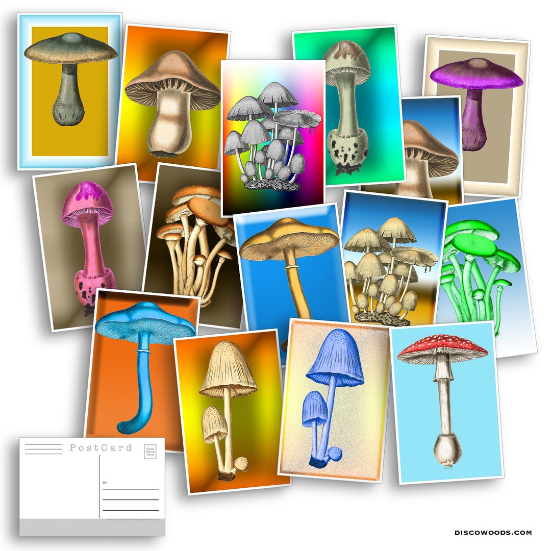 Magical Mushroom Postcard Set - 20 Postcards - Psychedelic - Nature ...