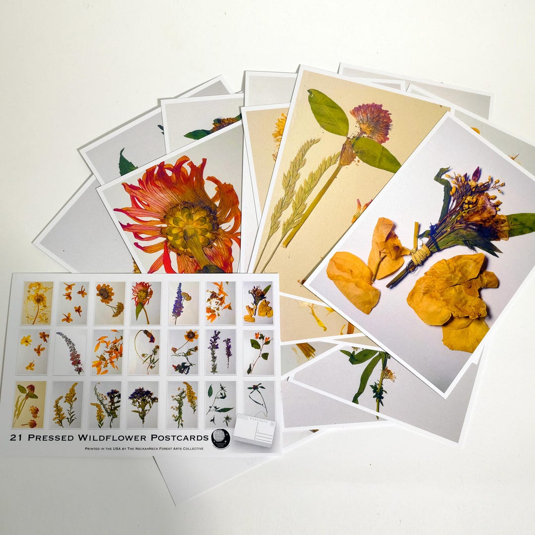 New England Pressed Wildflowers Photographic Postcard - Set of 21 - Etsy