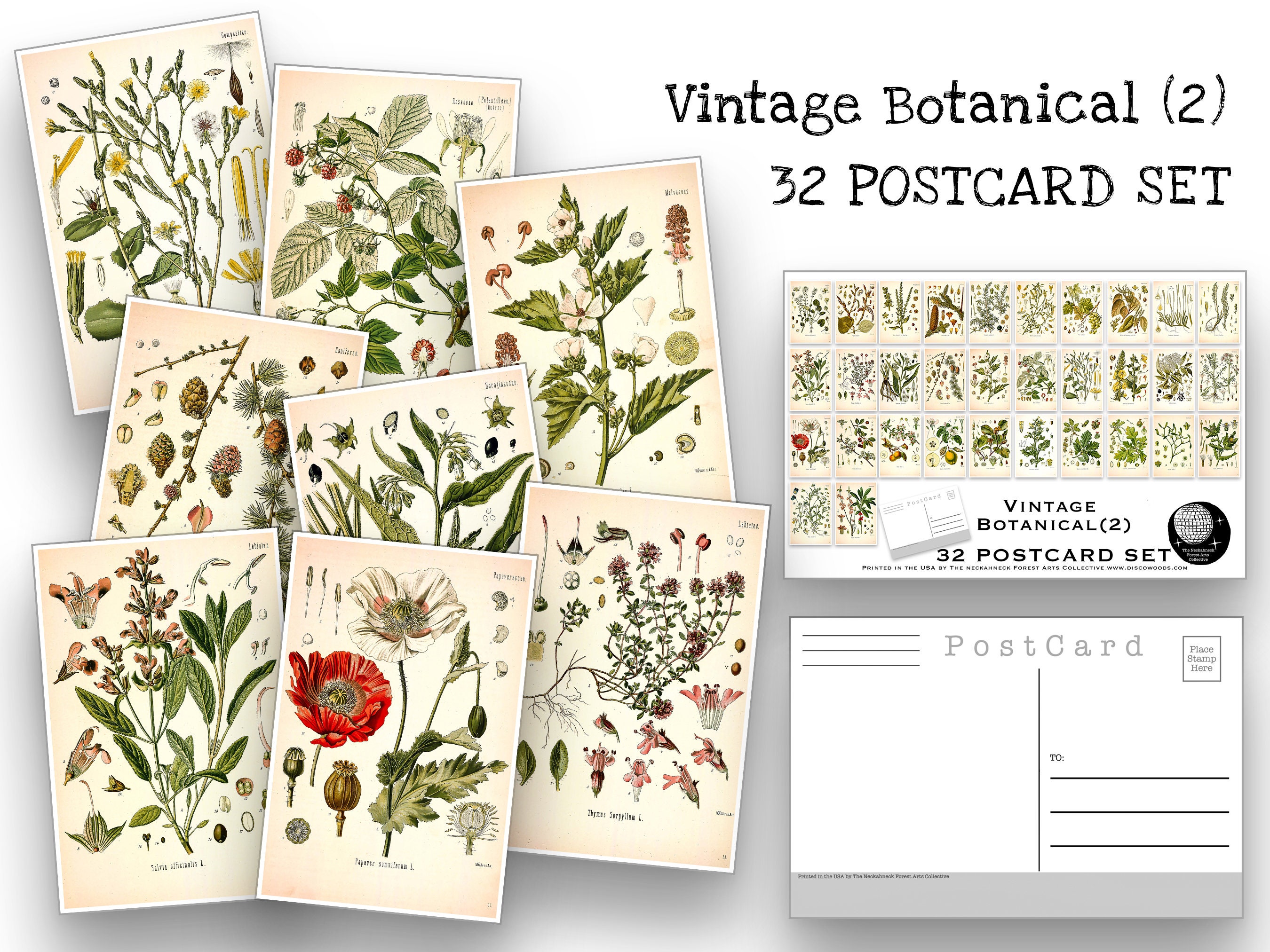 Botanical Postcard Set2 Set of 32 Postcards Vintage - Etsy