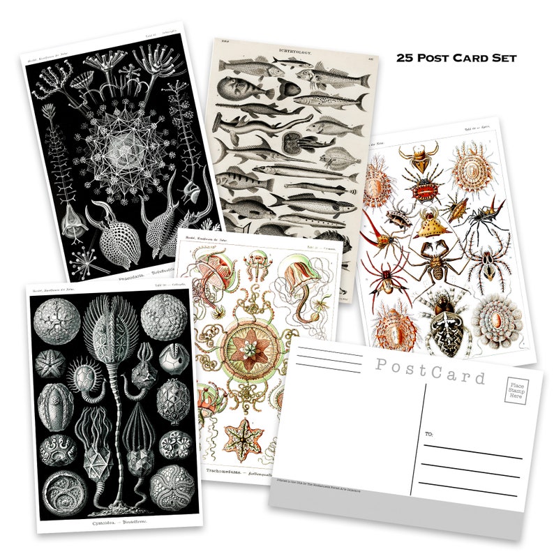 Natural Wonders Postcard Set - Set of 25 Postcards - Vintage - Nature ...