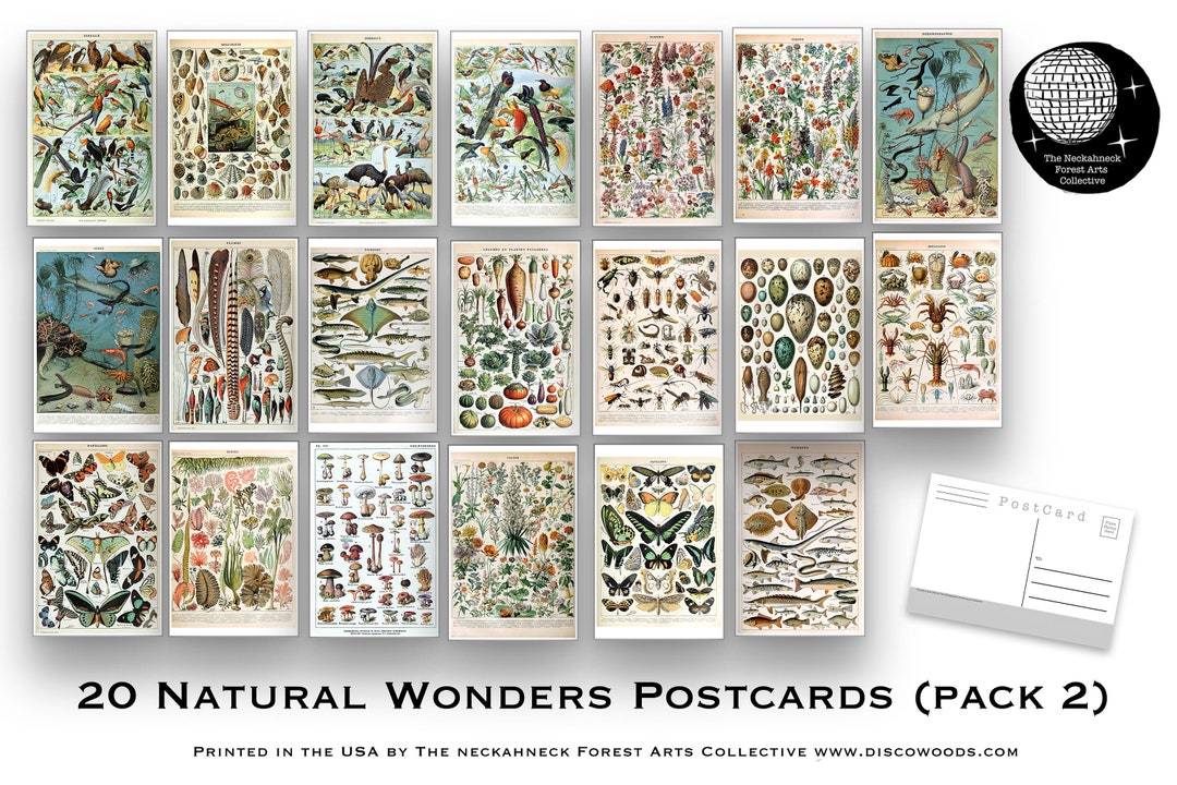 Natural Wonders Postcard Set2 Set of 20 Postcards Vintage Nature ...