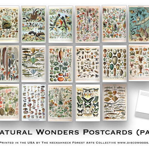 Vintage Style Postcards by Mocard for Scrapbooking Set of | Etsy