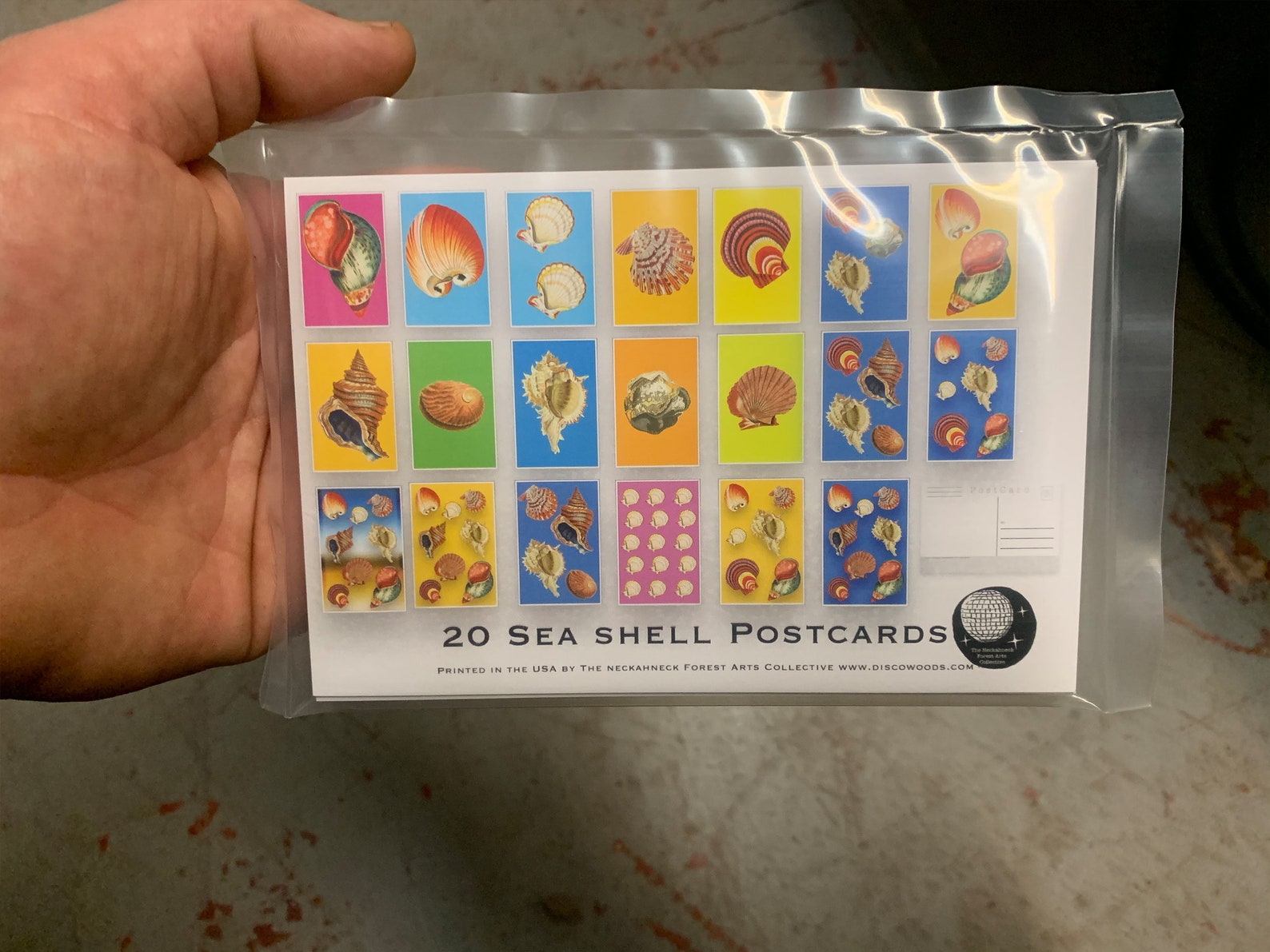 Seashell Postcard Set 20 Seashell Post Cards Outdoors - Etsy