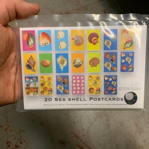 Seashell Postcard Set 20 Seashell Post Cards - Outdoors - Nature ...