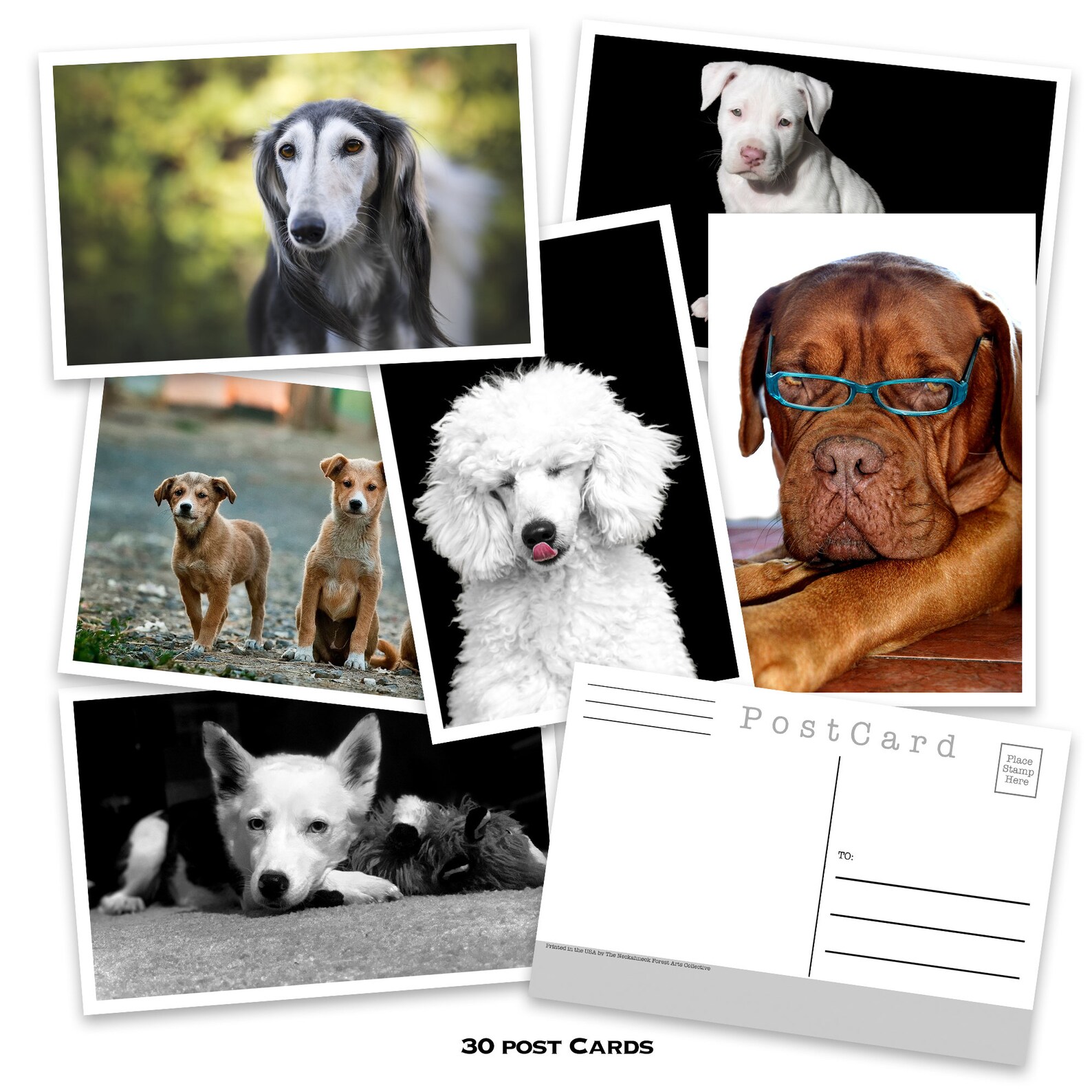 Dogs - Postcards - Set of 30- Dogs and Puppies - Scrapbooking - Letter ...