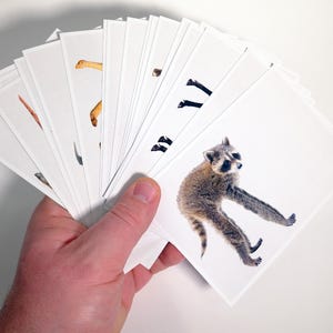 Wrong Animals Postcard Set - Set of 20 Postcards - Imaginary Animals ...