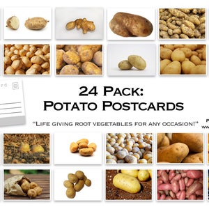 Potato Postcard Set - Set of 24 Postcards - Many Varieties of Potatoes ...