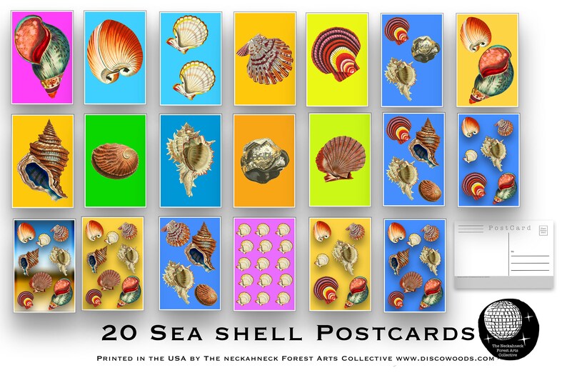 Seashell Postcard Set 20 Seashell Post Cards Outdoors - Etsy