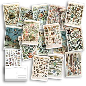 Natural Wonders Postcard Set(2) - Set of 20 Postcards - Vintage ...