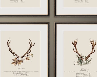 Antlers No 2 Art Print Antler Painting Antler Watercolor Painting ...