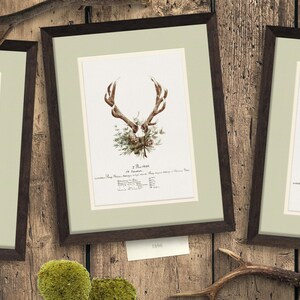 Vintage Deer Antlers Art Print - Perfect Gift for Him - Rustic Cabin ...