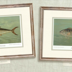 Saltwater Fish Art Print Collection: Set of 6 Vibrant Ocean Paintings ...