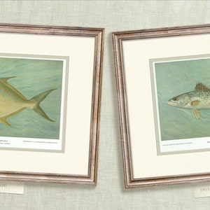 Saltwater Fish Art Print Collection: Set of 6 Vibrant Ocean Paintings ...