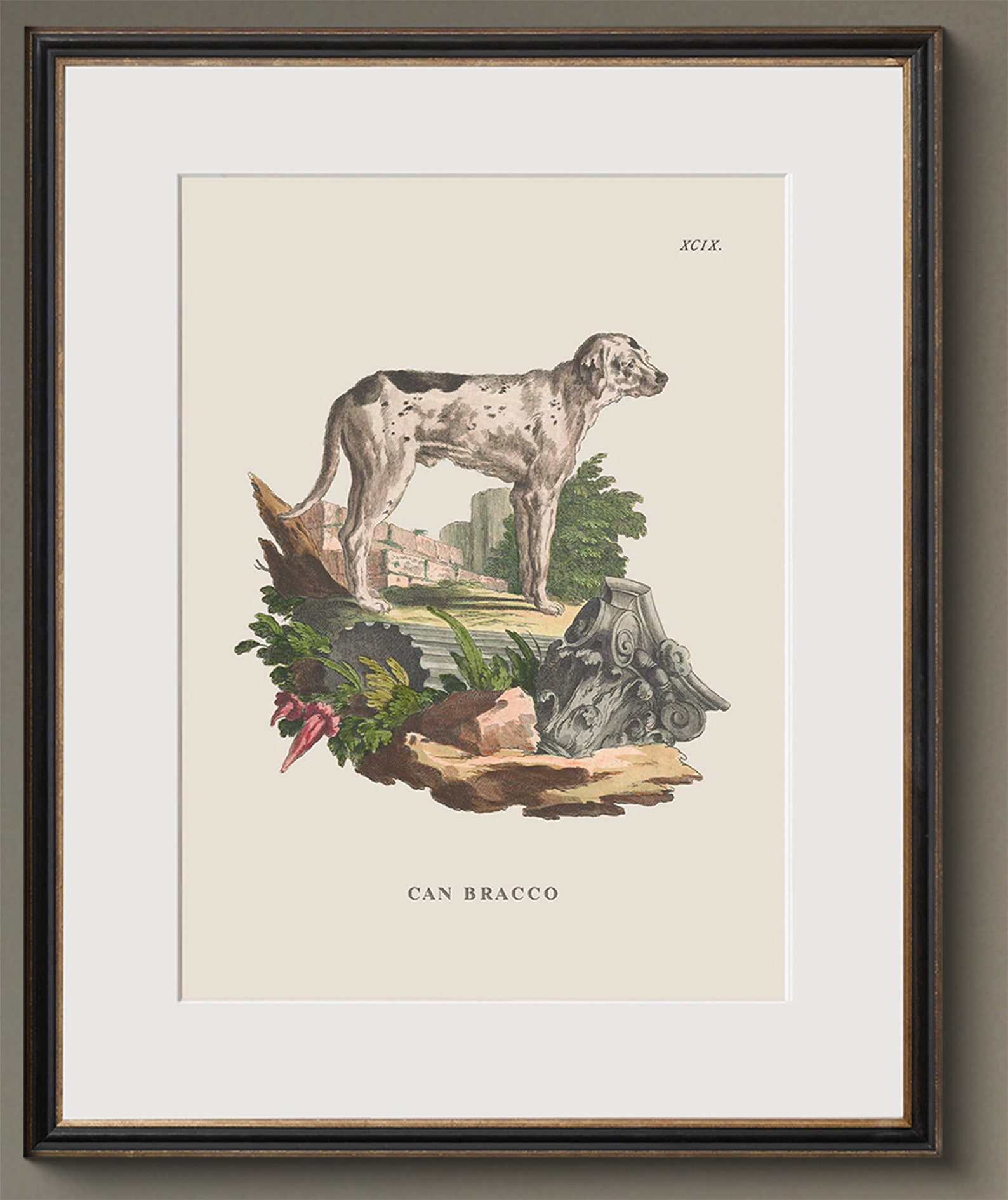 Vintage Dog Prints, Antique Dog Illustrations, Gift for a Dog Lover ...