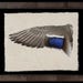 Framed Hunt Club Mallard Duck Wing Art – Set of 2 Vintage-style ...