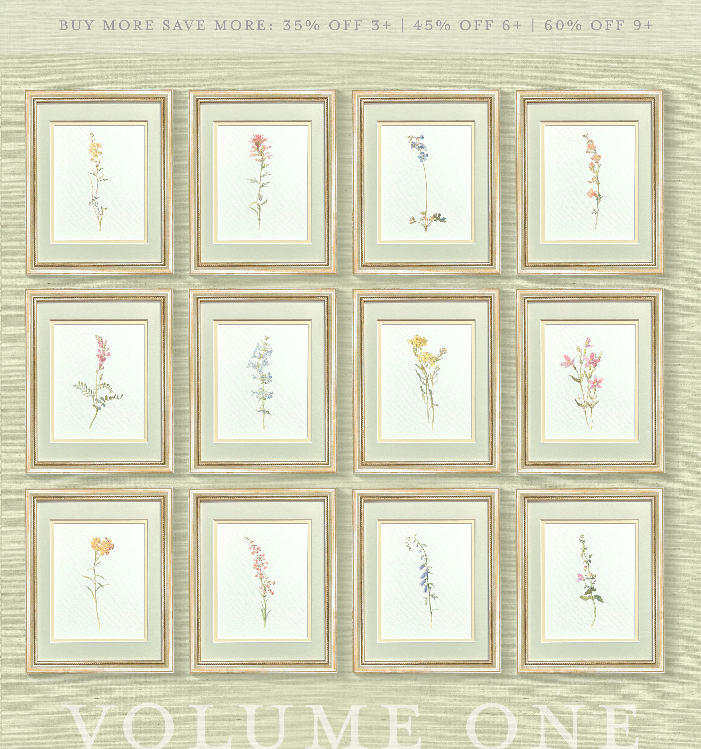 Collection of Vintage Botanical Prints, Set of 12 Antique Botanical ...
