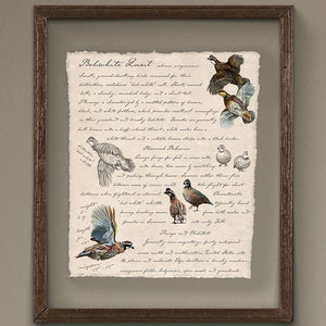 Vintage Field Guide Duck Art Prints Game Bird Art for Office Man Cave ...