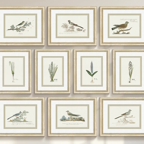 Botanical Bird - Etsy