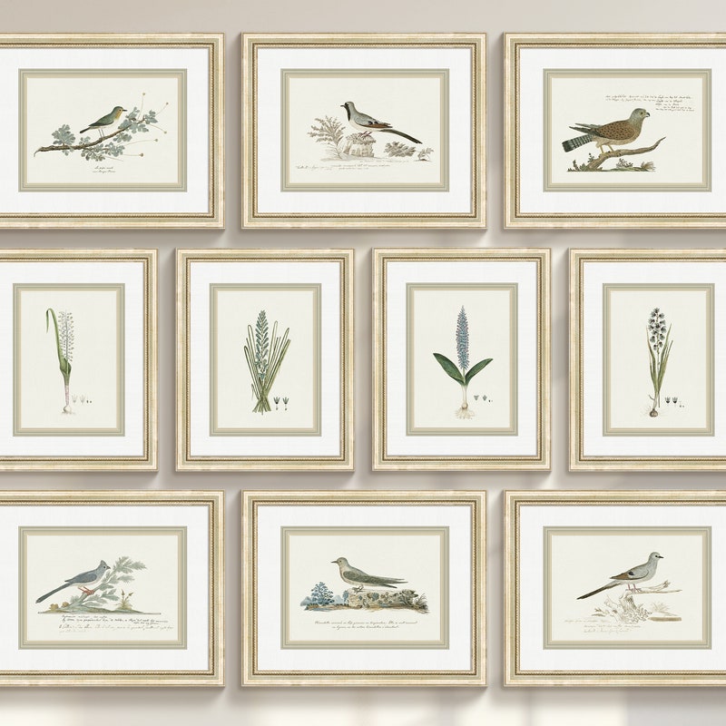 Wall Grouping - Etsy