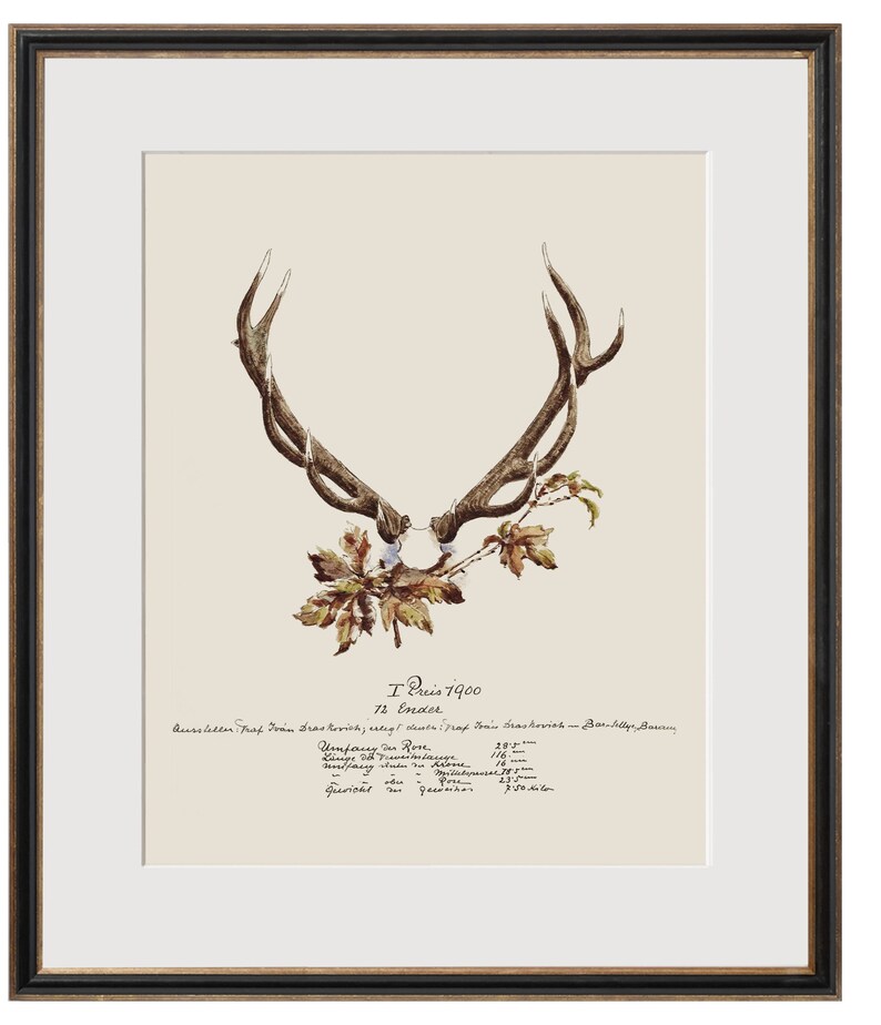 Deer Art Print Gift for Him Features Deer Antlers Deer Print - Etsy