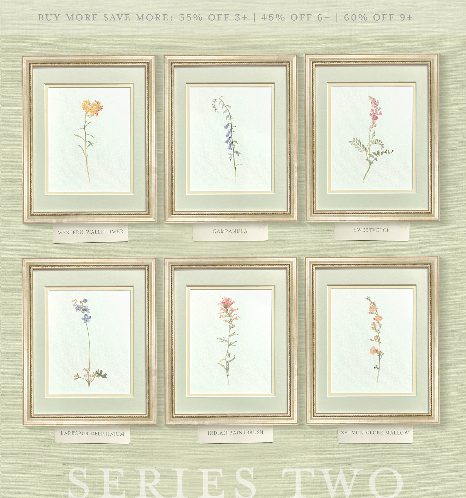 Collection of Vintage Botanical Prints, Set of 12 Antique Botanical ...