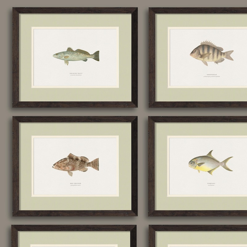 Vintage Fish Frames - Etsy