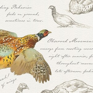 Antique Animal Vintage Duck Art Prints Game Bird Art Art for - Etsy