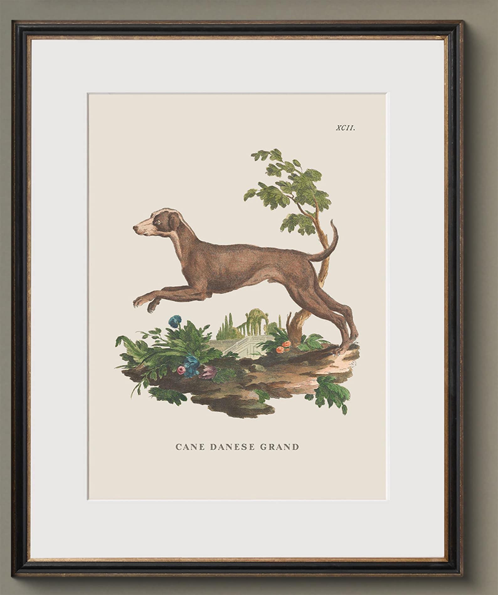 Vintage Dog Prints, Antique Dog Illustrations, Gift for a Dog Lover ...