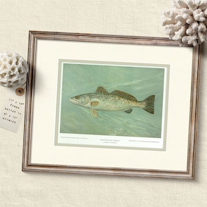 Saltwater Fish Art Print Collection: Set of 6 Vibrant Ocean Paintings ...