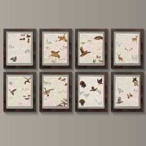 Vintage Field Guide Duck Art Prints - Game Bird Art for Office Man Cave ...