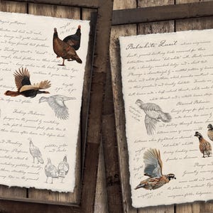 Vintage Field Guide Duck Art Prints - Game Bird Art for Office Man Cave ...