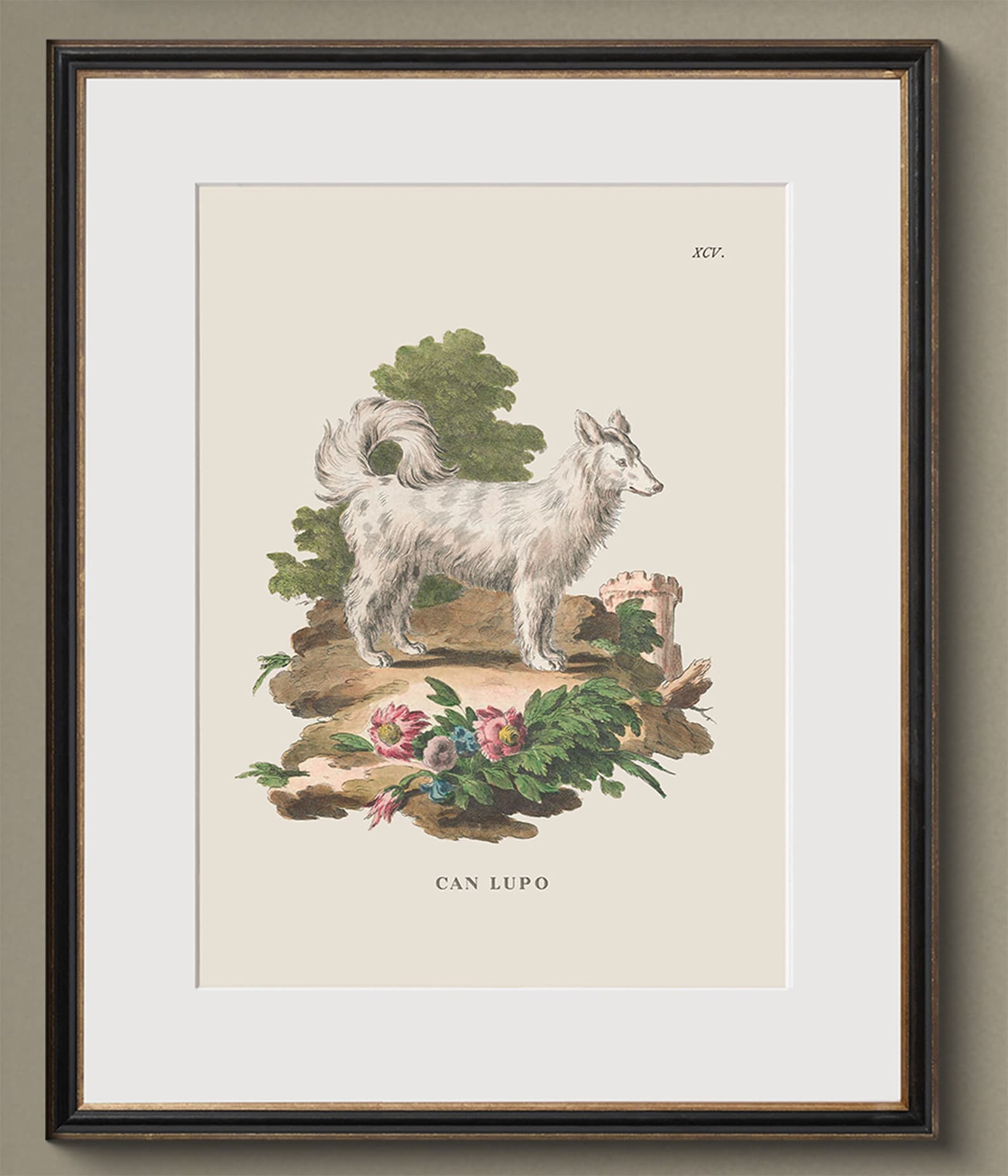 Vintage Dog Prints, Antique Dog Illustrations, Gift for a Dog Lover ...