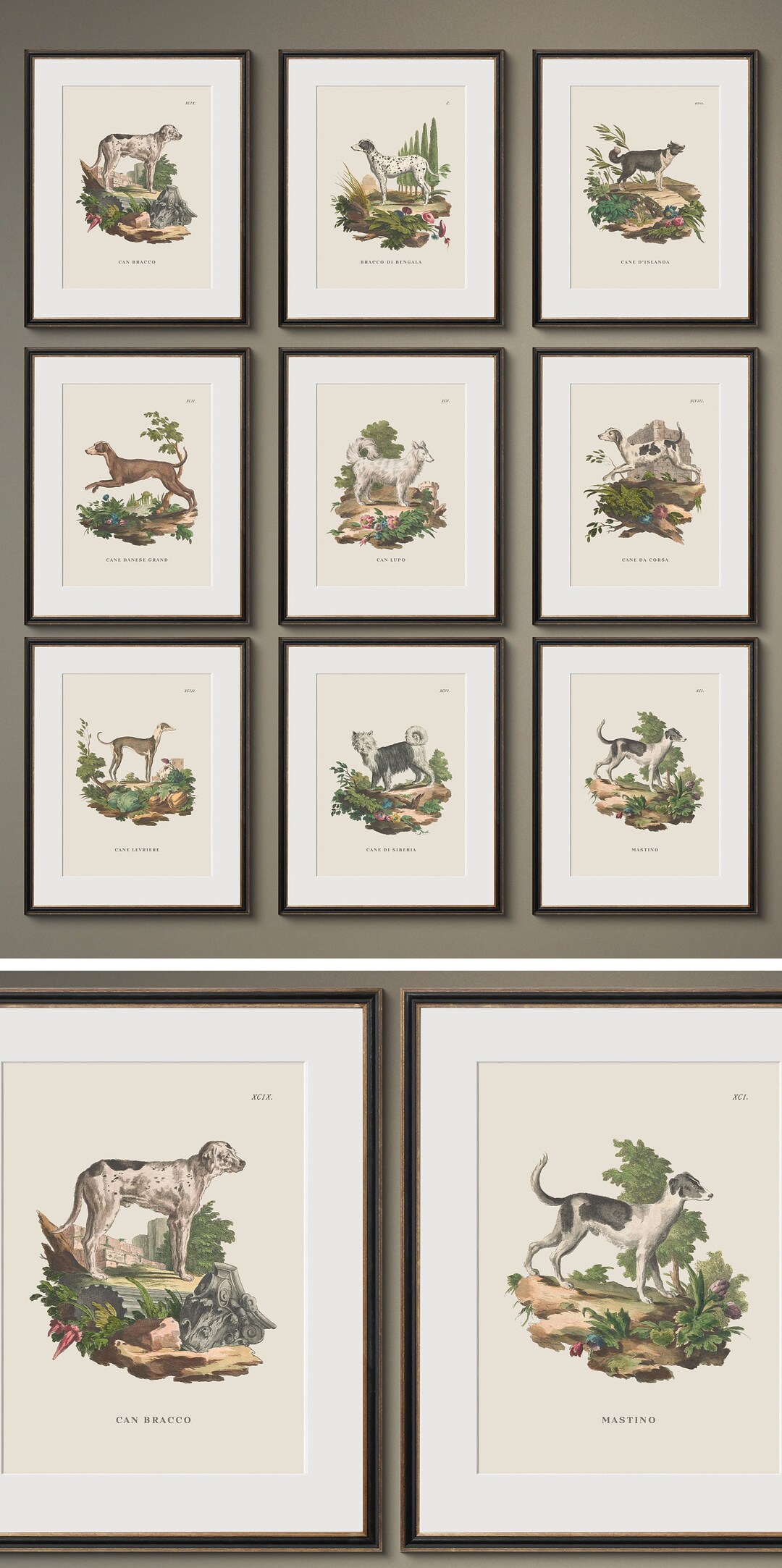 Vintage Dog Prints, Antique Dog Illustrations, Gift for a Dog Lover ...