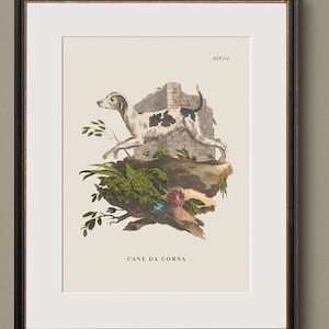 Vintage Dog Prints, Antique Dog Illustrations, Gift for a Dog Lover ...