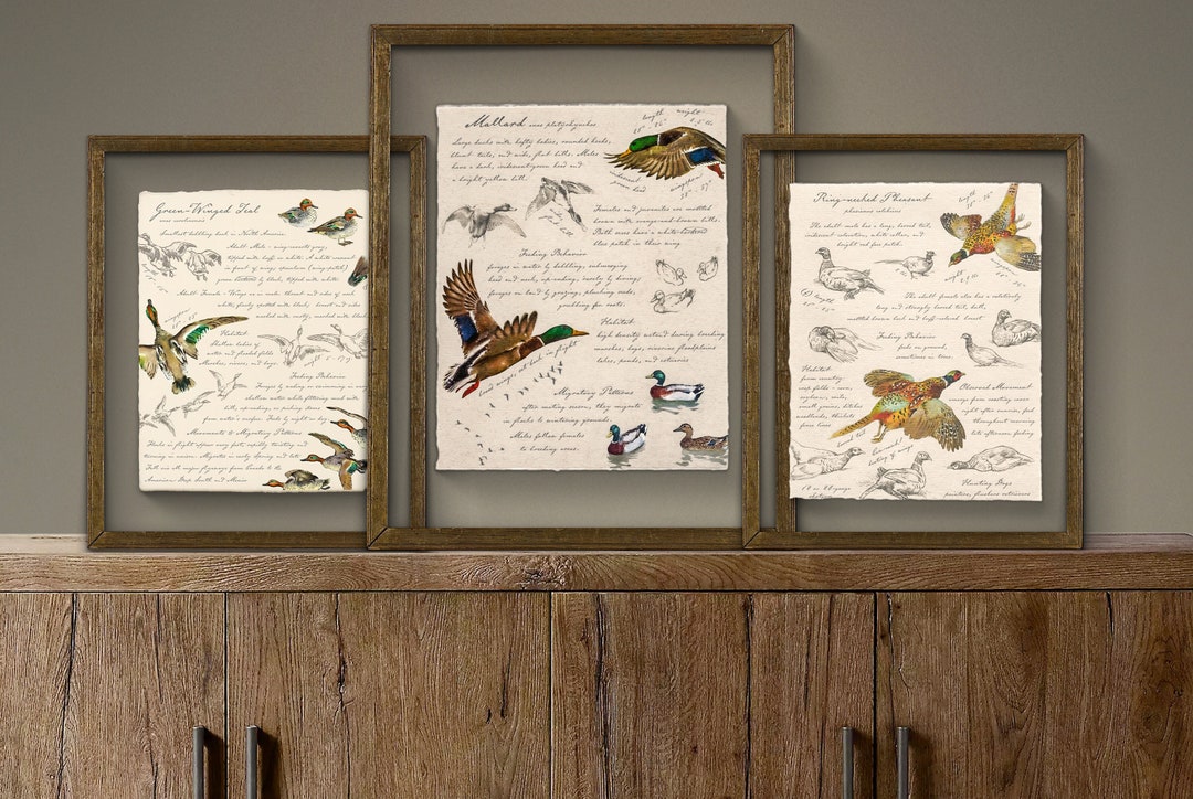 Vintage Field Guide Duck Art Prints Game Bird Art for Office Man Cave ...