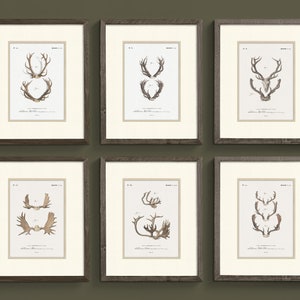 Premium Custom Double Mats for Fine Art Prints - Antique White ...