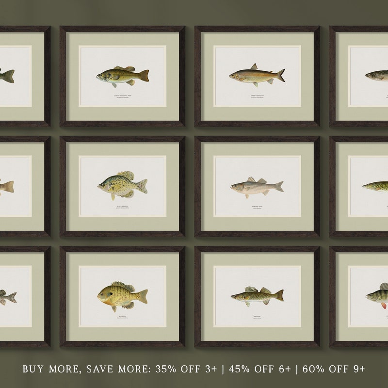 Fish Wall Art - Etsy