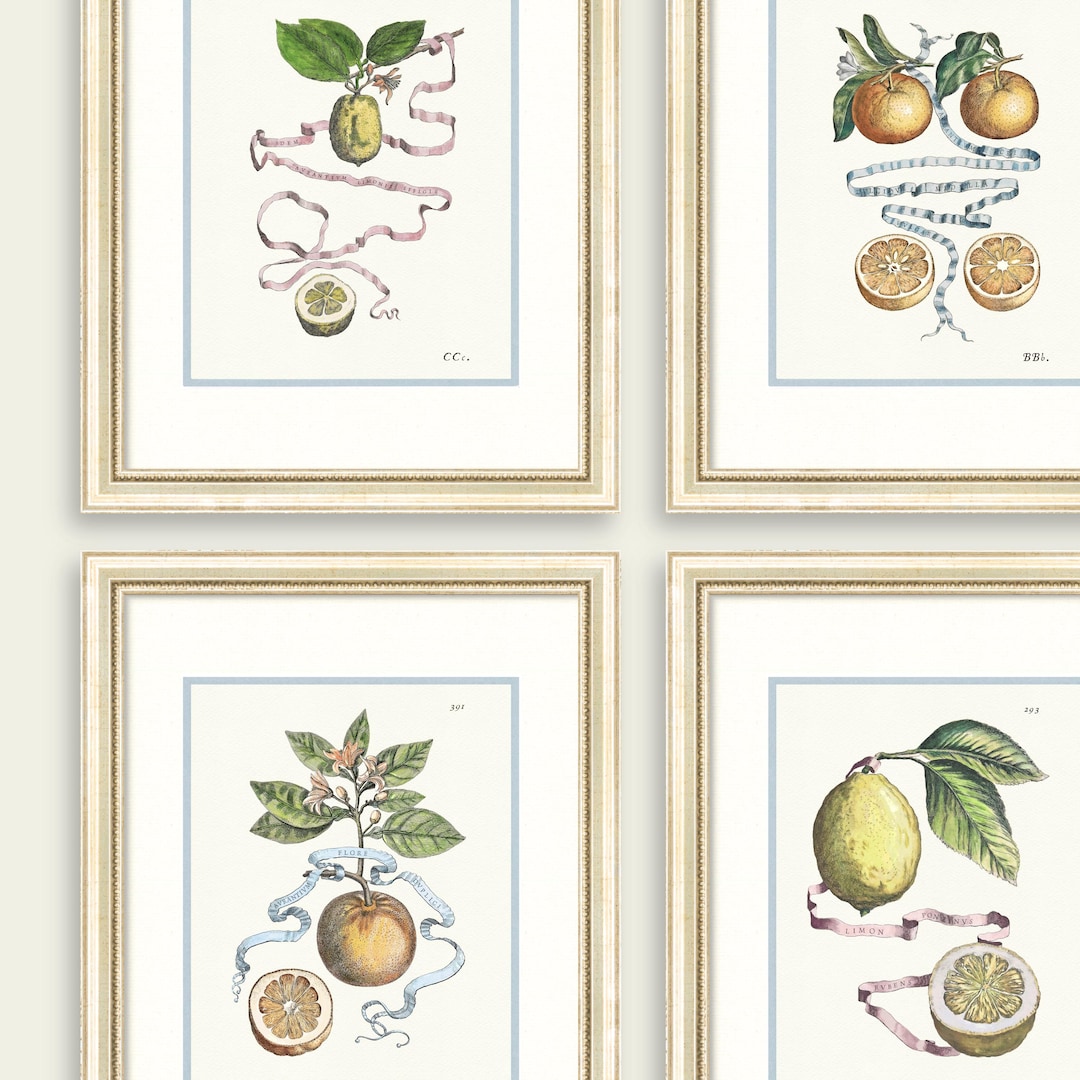Framed Citrus Botanicals: Set of 9 Antique Framed Watercolor Citrus ...