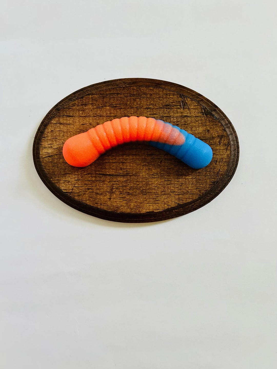 Trophy Worm Wall Hanging/ Dopamine Decor/ Fake Food/candy Art/ Gummy ...