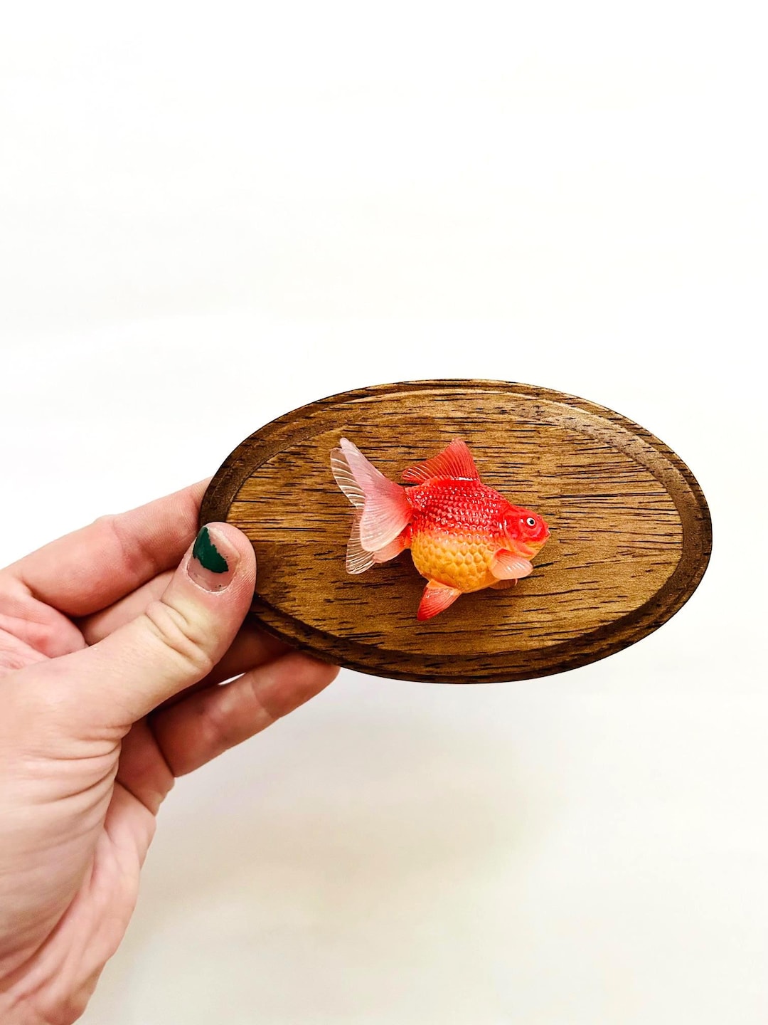 Trophy Fish Wall Hanging/dopamine Decor/maximalist Decor/funny Gift ...