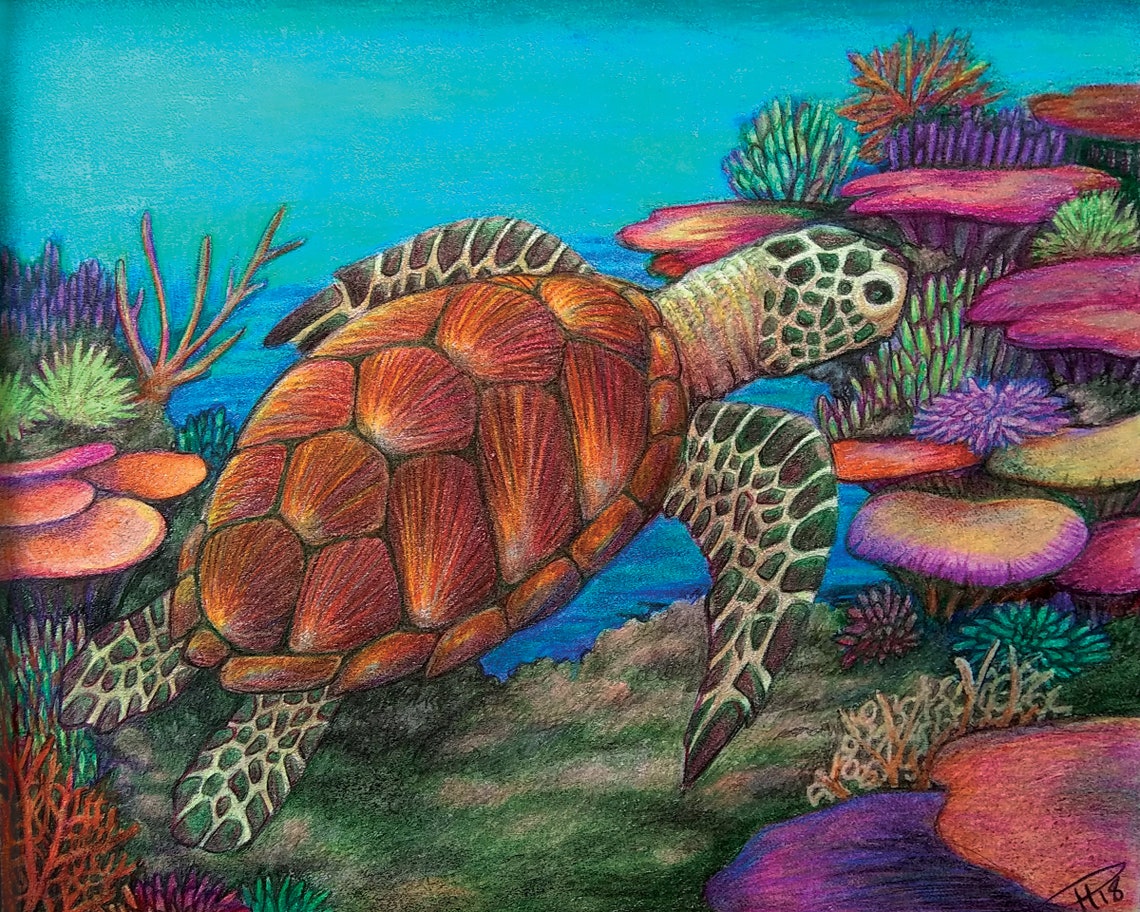 Colored Pencil Turtle Print | Etsy