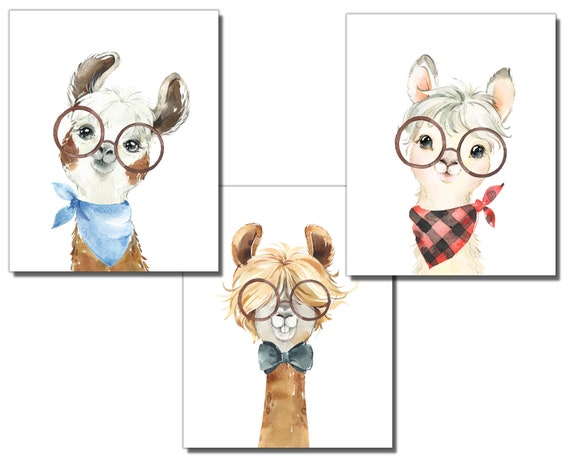 Llama Wall Art Set of 3 Funny Llama Prints Llama Posters - Etsy