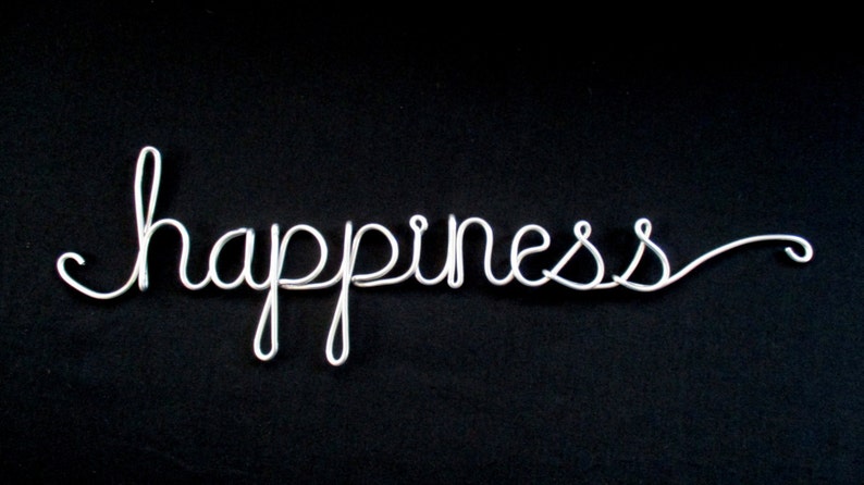 Wire Word Happiness, Wire Words, Wire Script Words, Wire Cursive Words ...