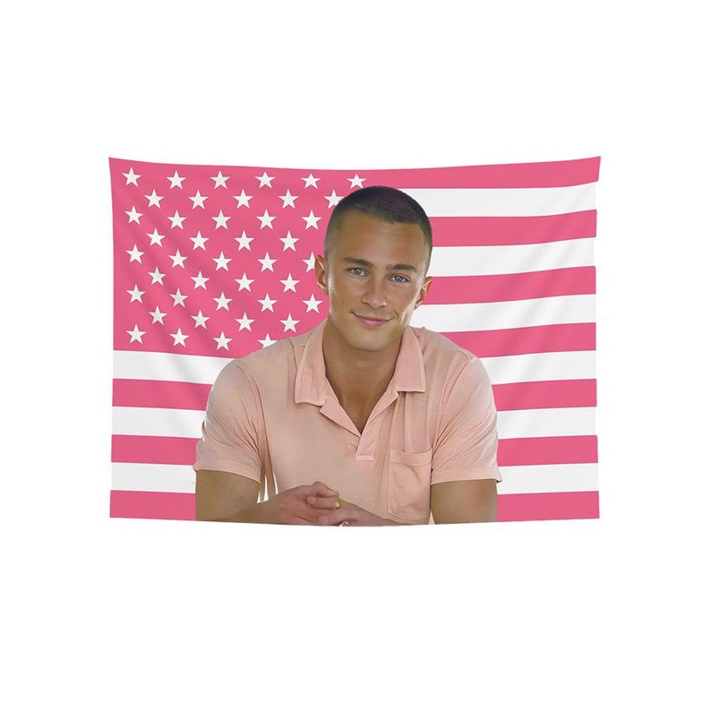 Drew Starkey Flag, Rafe Cameron Flag, Pink American Flag Poster ...