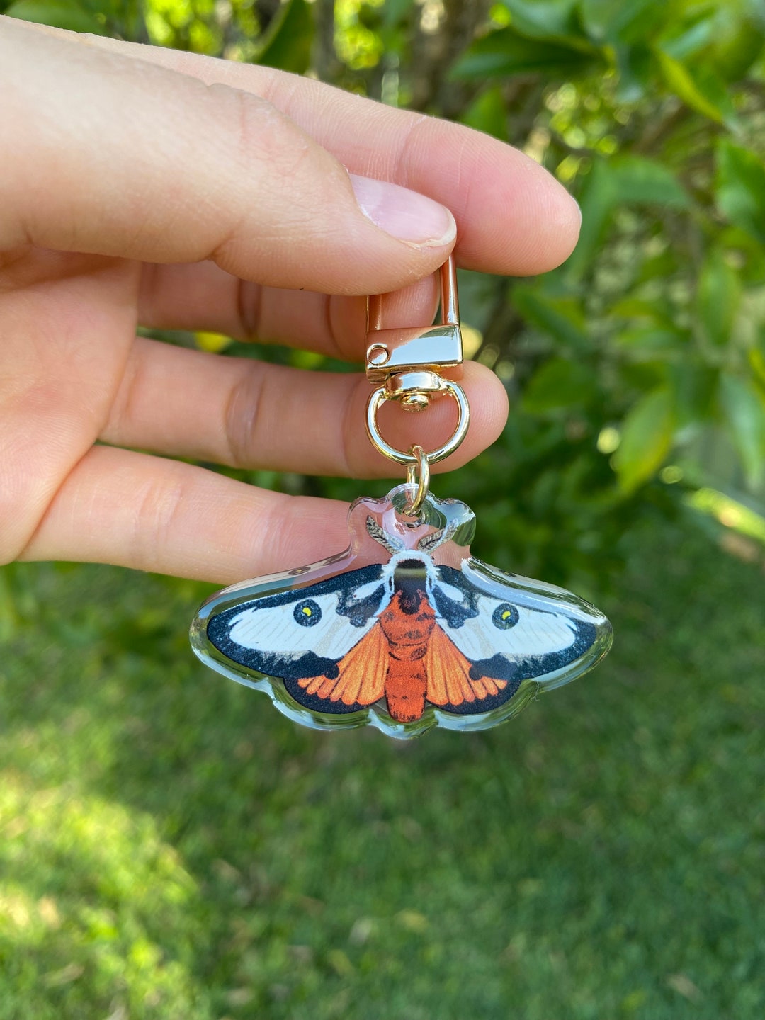 Red and Black Moth Keychain Red Moth Charm Moth Lover Gift - Etsy