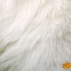 Natural White, Faux Fur Fabric,craft Squares,fun Fur,baby Photos ...